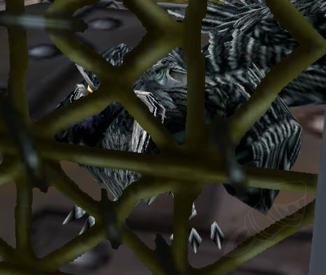 Rock Falcon - NPC - World of Warcraft