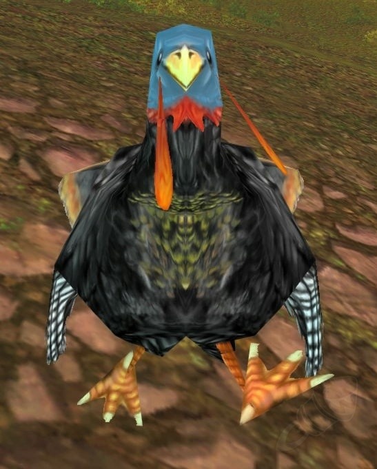 Angry Turkey - NPC - WotLK Classic
