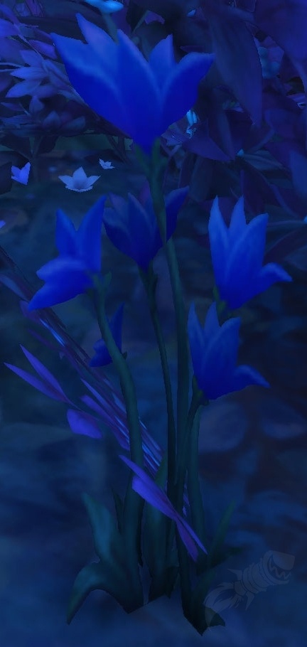 Night Lily - Object - World of Warcraft