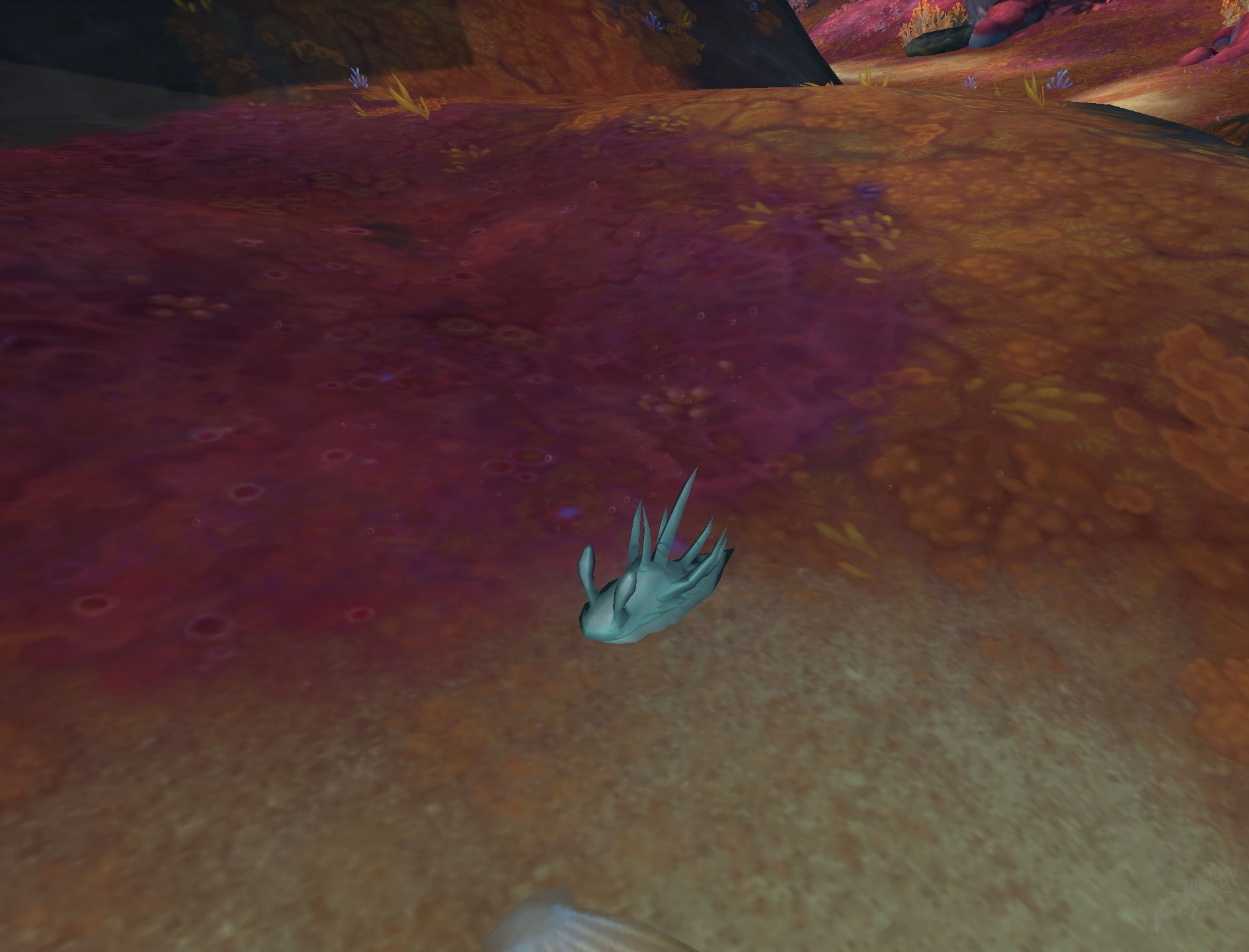 Slimy Sea Slug - Item - World of Warcraft