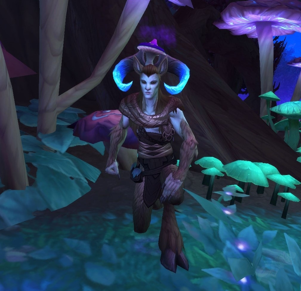 Cortinarius - NPC - World of Warcraft