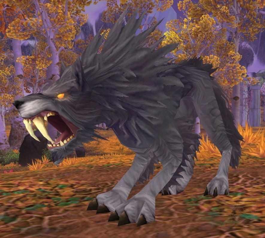 Sinewy Wolf - NPC - World of Warcraft