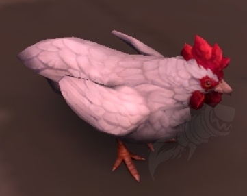 Pollo - PNJ - World of Warcraft