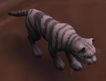 Gato Tigrado Cinzento - PNJ - World of Warcraft