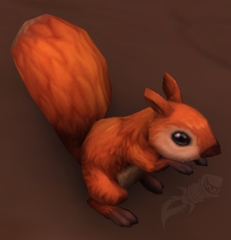 Squirrel - NPC - World of Warcraft