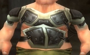 Bone-Plated Armor - Item - World of Warcraft