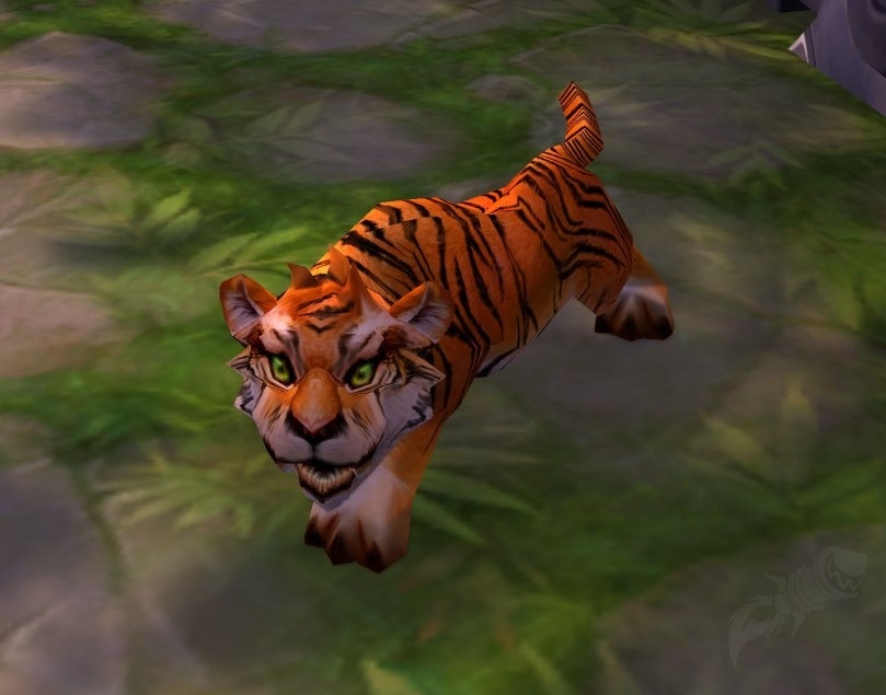 Cachorro de tigre de Pei-Wu - PNJ - World of Warcraft