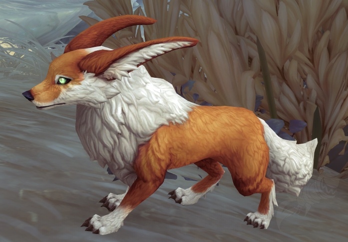 Copperfur Vulpin - NPC - World of Warcraft