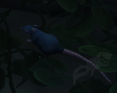 Citadel Rat - NPC - World of Warcraft
