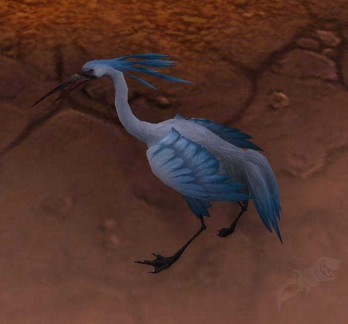 Wader Chick - NPC - World of Warcraft