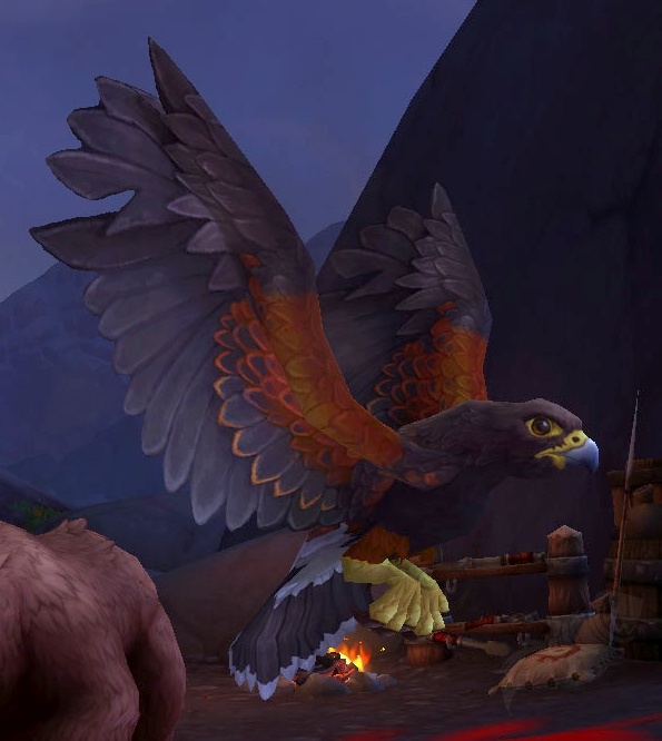 Mountain Hawk - NPC - World of Warcraft