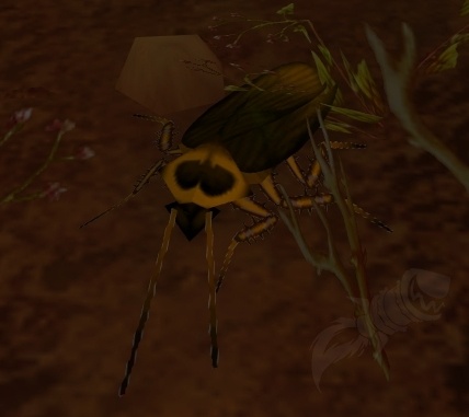 Plagued Roach - NPC - World of Warcraft