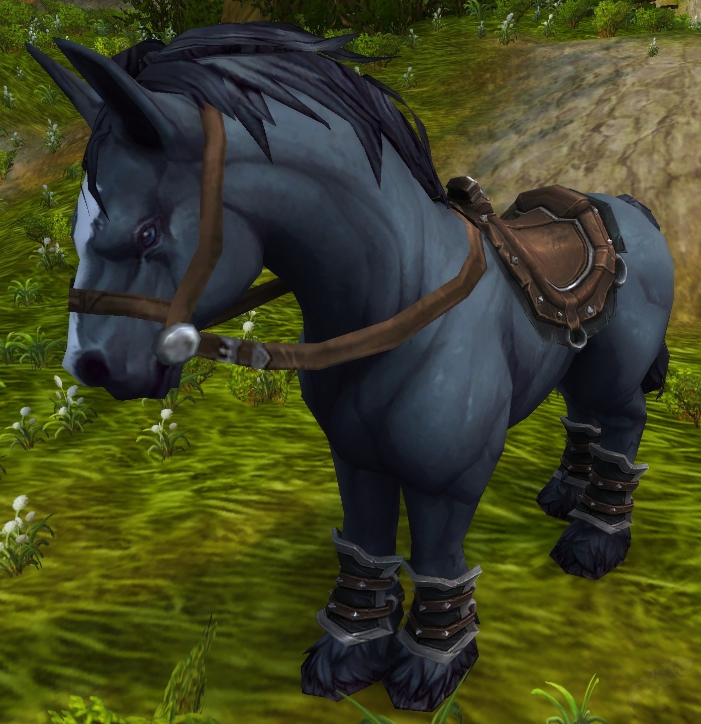 Duchess - NPC - World of Warcraft