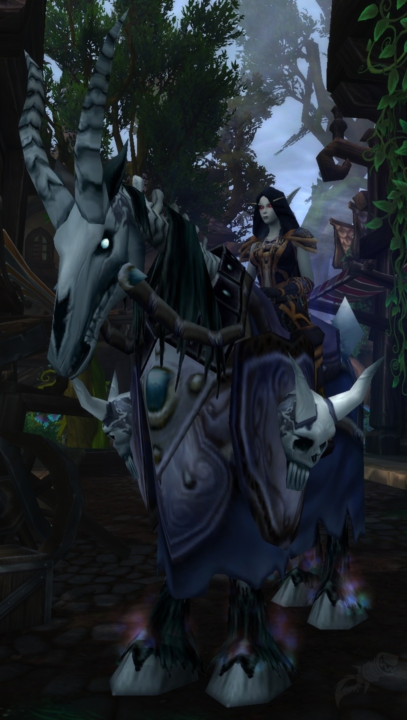 Dark Ranger Thyala - NPC - World of Warcraft