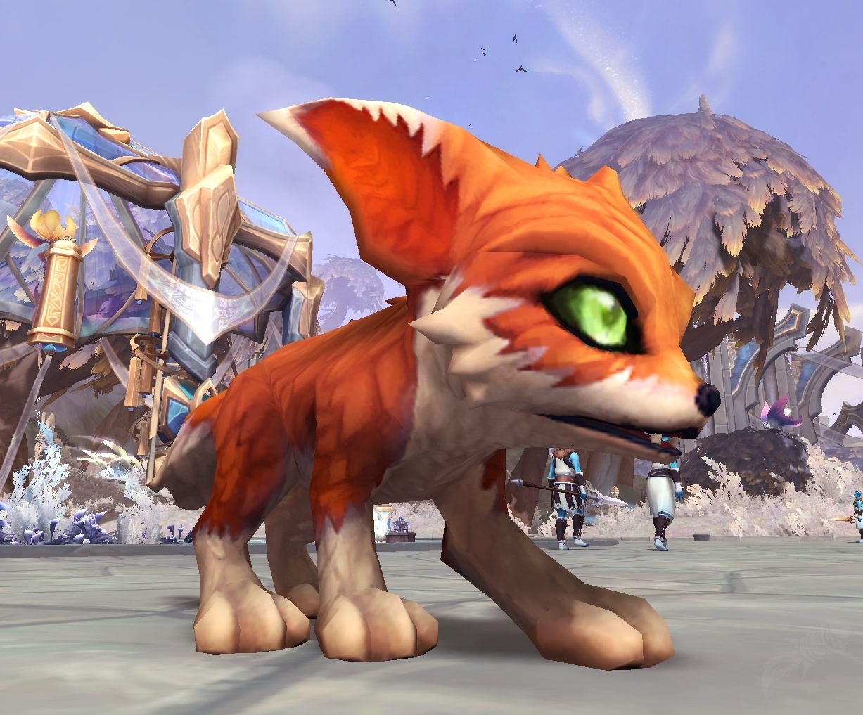Copperfur Kit - NPC - World of Warcraft