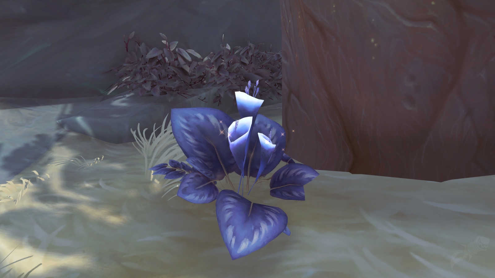The Cycle of Anima: Flower Power - Quest - World of Warcraft