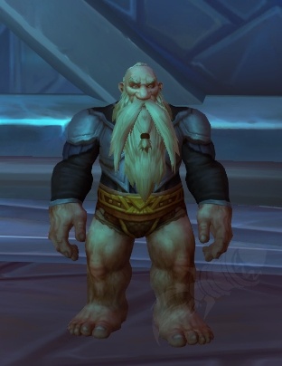 Waylight Chainmail - Item - World of Warcraft