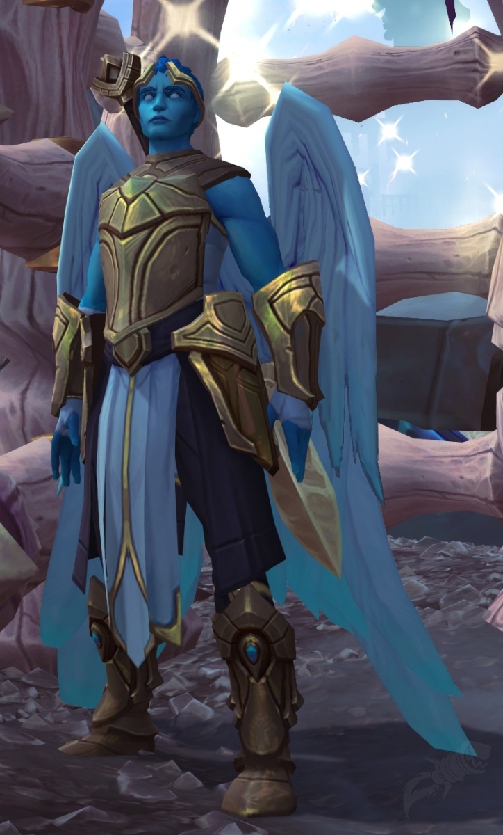 Disciple of Courage - NPC - World of Warcraft