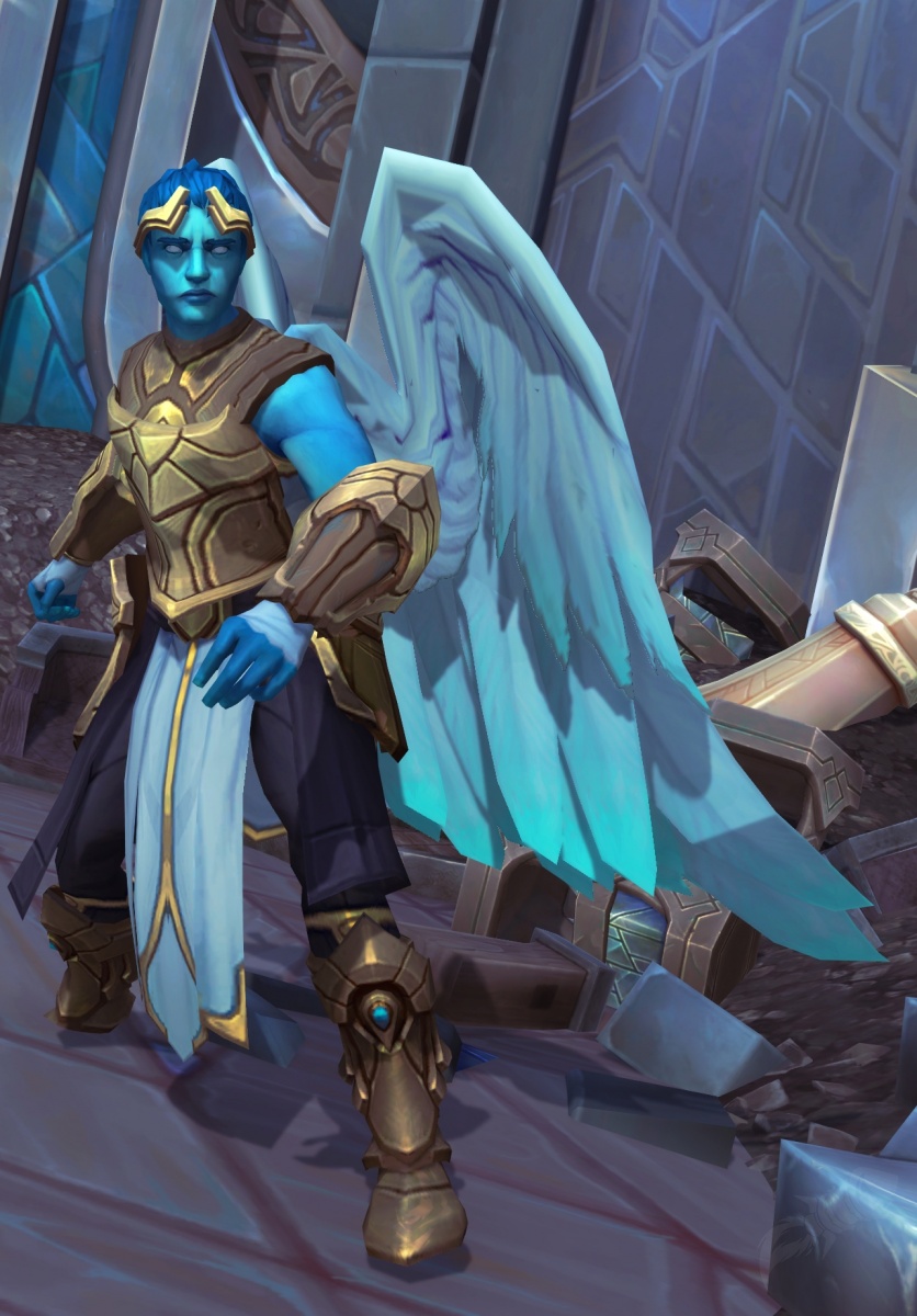 Disciple of Courage - NPC - World of Warcraft