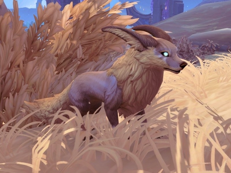 Goldenpaw Vulpin - NPC - World of Warcraft