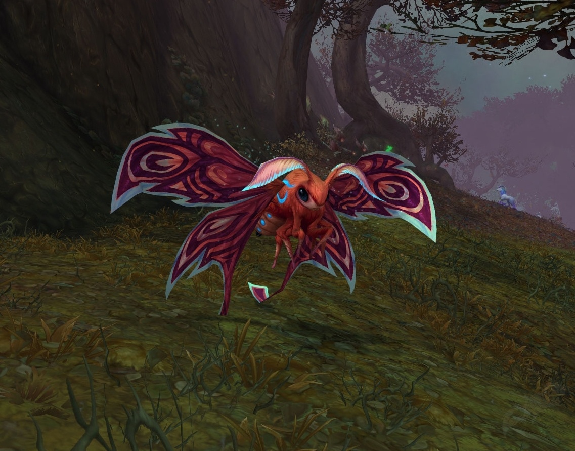Polilla de Arden mustia - PNJ - World of Warcraft