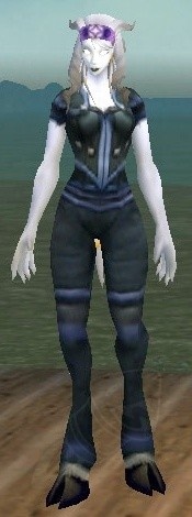 Dusky Leather Armor - Item - World of Warcraft