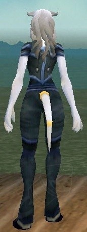 Dusky Leather Armor - Item - WotLK Classic