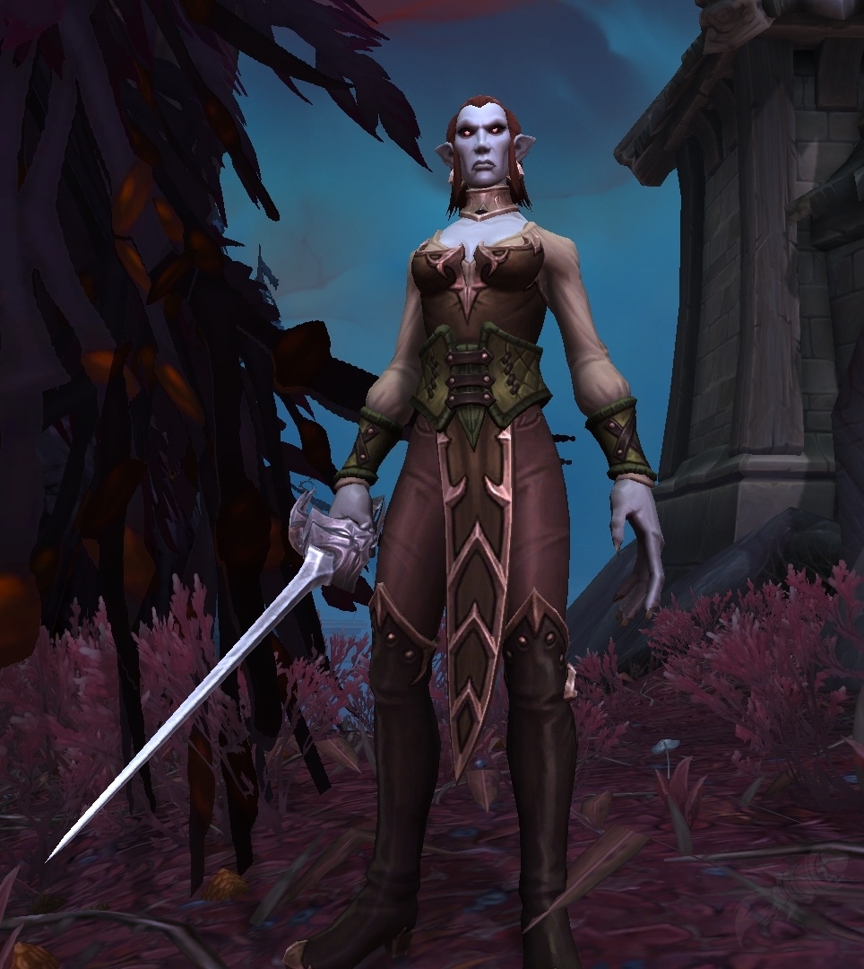 Sinfall Rebel - NPC - World of Warcraft
