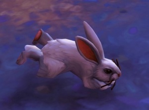 Rabbit - NPC - World of Warcraft