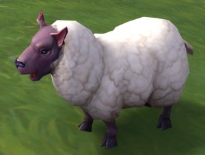 Sheep - NPC - World of Warcraft