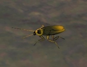 Cockroach - NPC - World of Warcraft