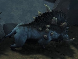 Tamed Boar - NPC - World of Warcraft