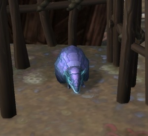 Roles - NPC - World of Warcraft