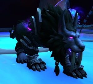 Ashamane - NPC - World of Warcraft