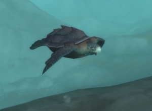 Sea Turtle - NPC - World of Warcraft