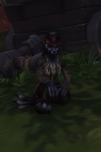 Fiona - NPC - World of Warcraft