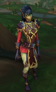 Observant Explorer - NPC - World of Warcraft