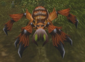 Forest Spider - NPC - Classic World of Warcraft