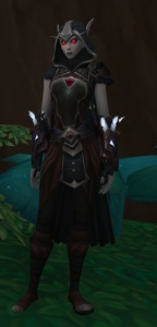 Dark Ranger - NPC - World of Warcraft