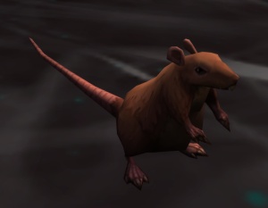 Rat - NPC - World of Warcraft