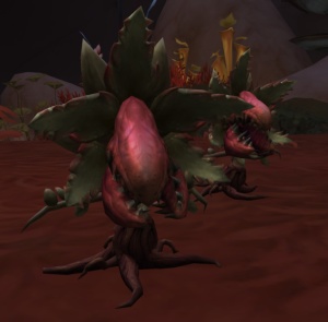 Carnivorous Lasher - NPC - World of Warcraft