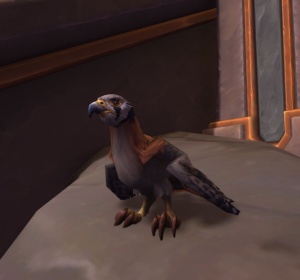 Fallside Falcon - NPC - World of Warcraft
