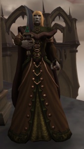 Sinfall Defender - NPC - World of Warcraft