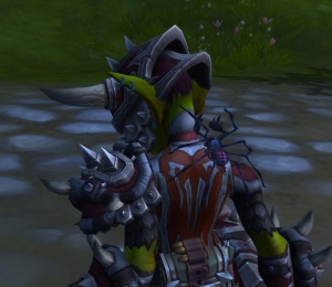 Ara-Kara Sacbrood - Item - World of Warcraft