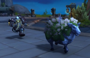 Playful Mosswool - NPC - World of Warcraft
