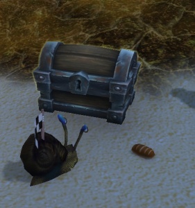 Zoomies! - Achievement - World of Warcraft