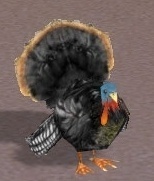 Gobbles - NPC - World of Warcraft