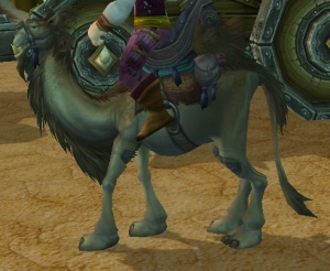 Budd's Camel - NPC - World of Warcraft