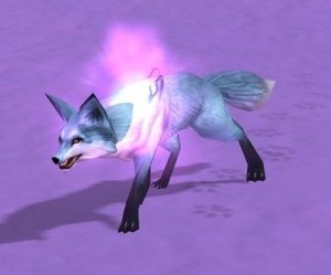 Arctic Fox Pet Wow