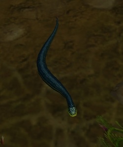 Tree Python - NPC - Cataclysm Classic